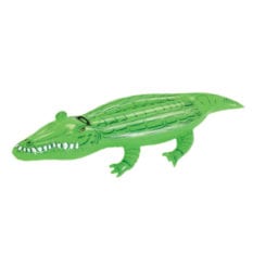 Bestway Inflatable Crocodile Rider | Outdoor Fun