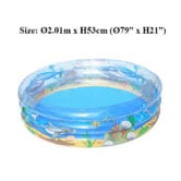 Sea Life Inflatable Play Pool | Outdoor Fun